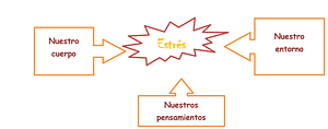¿Qué Es El Estrés? - Definición, Tipos Y Consejos | Physio